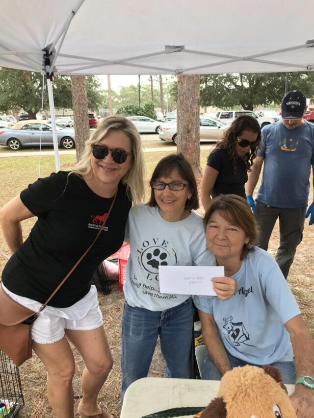 About Our Founder: Janelle Babington - Animal Victory