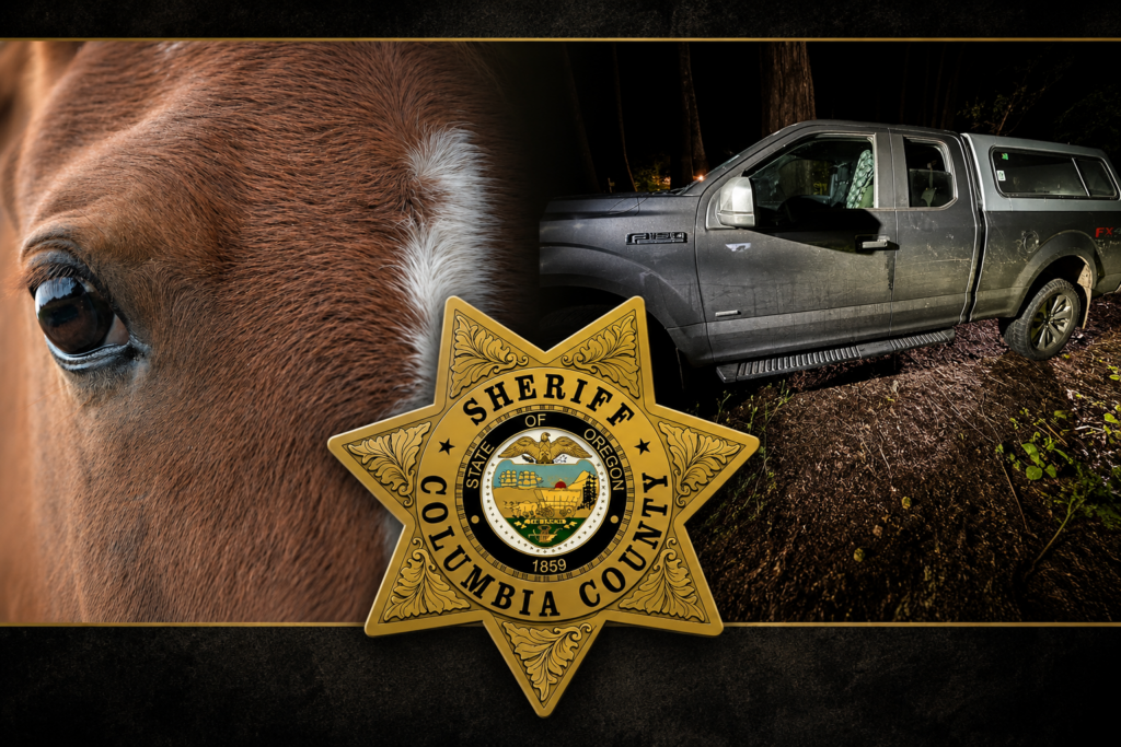 Sign: Horse Named Domingo Dragged Behind Truck On His Knees: Enduring ...