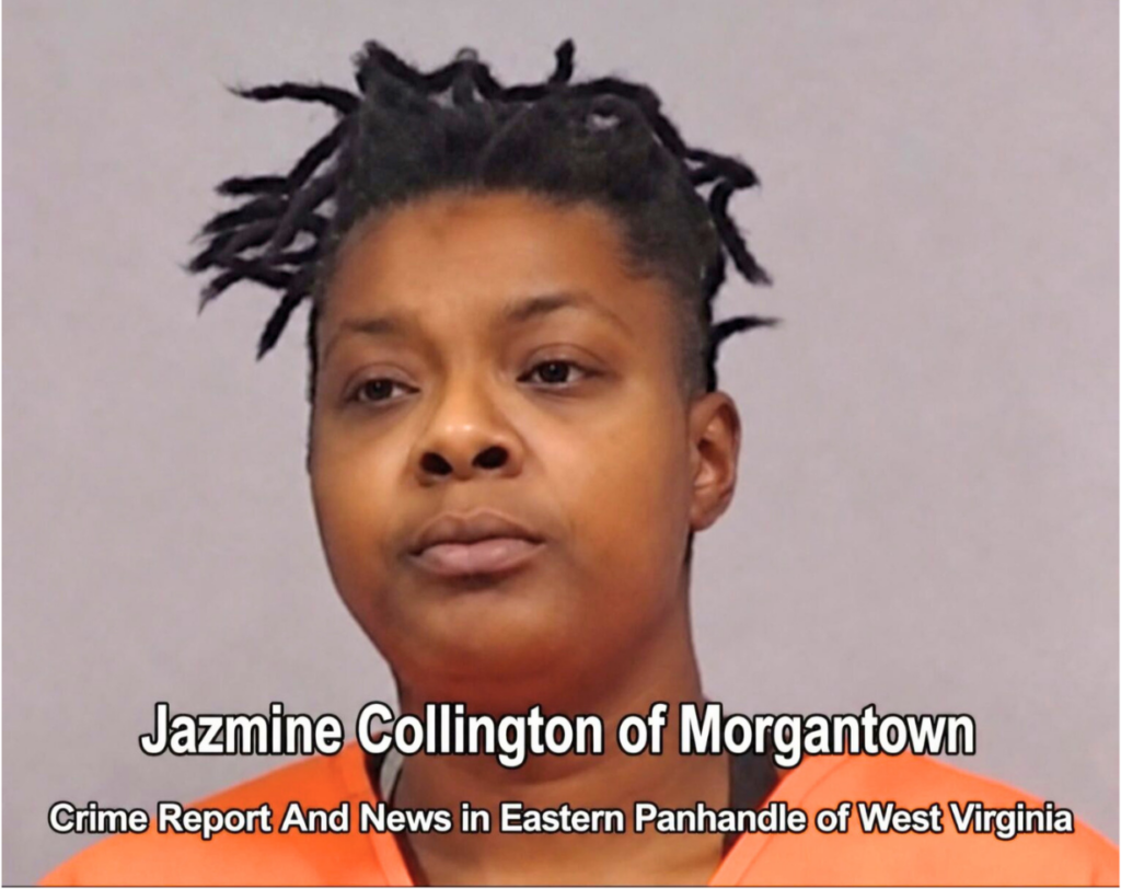 Sign: Woman Slams Cat to the Ground in Viral Video, Leaving It ...